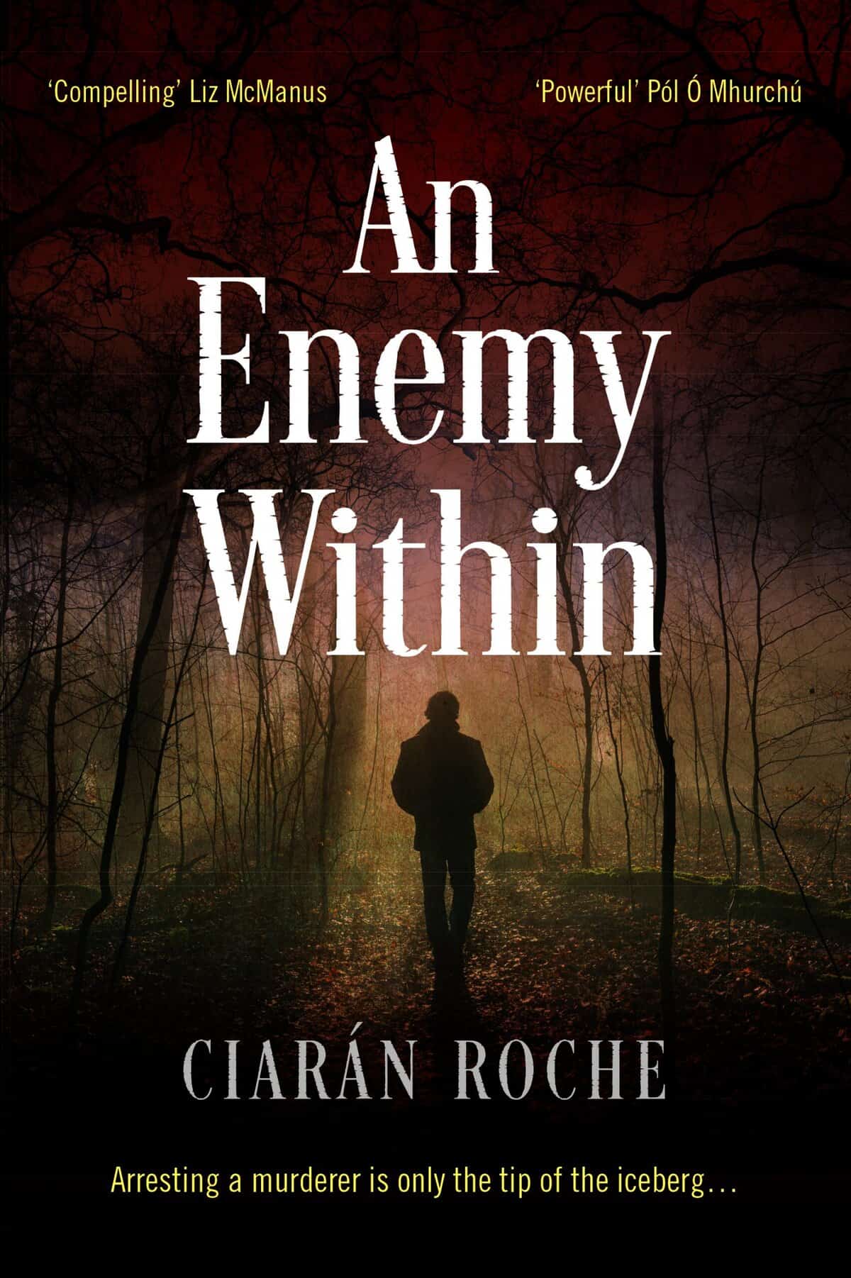 An Enemy Within by Ciarán Roche - Feile na Bealtaine